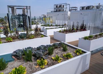 Isla Intersections | Urbanize Dallas